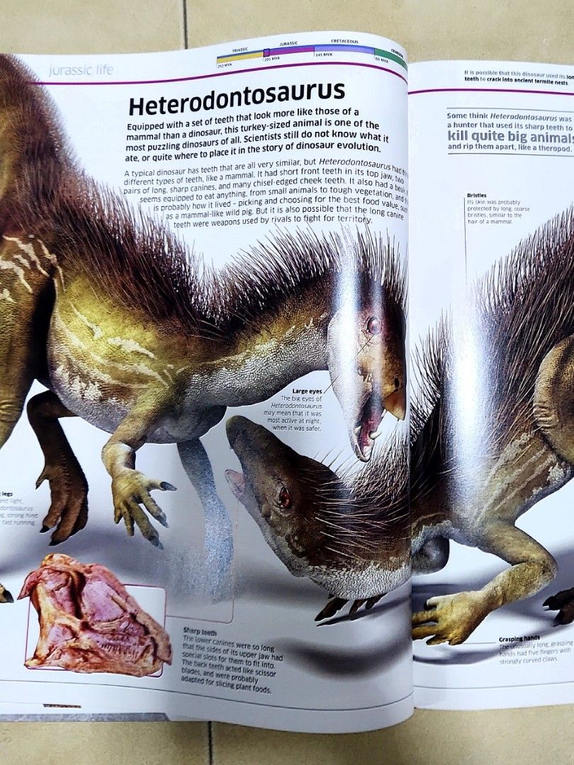 DK Knowledge Encyclopedia Dinosaur, Hobbies & Toys, Books & Magazines, Fiction & Non-Fiction on ...