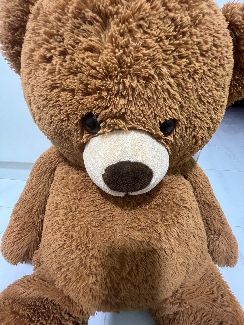 Giant 1m teddy bear, Hobbies & Toys, Toys & Games on Carousell