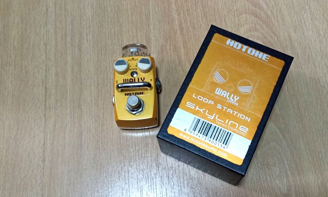 Hotone: Wally (looper), Hobbies & Toys, Music & Media, Musical ...
