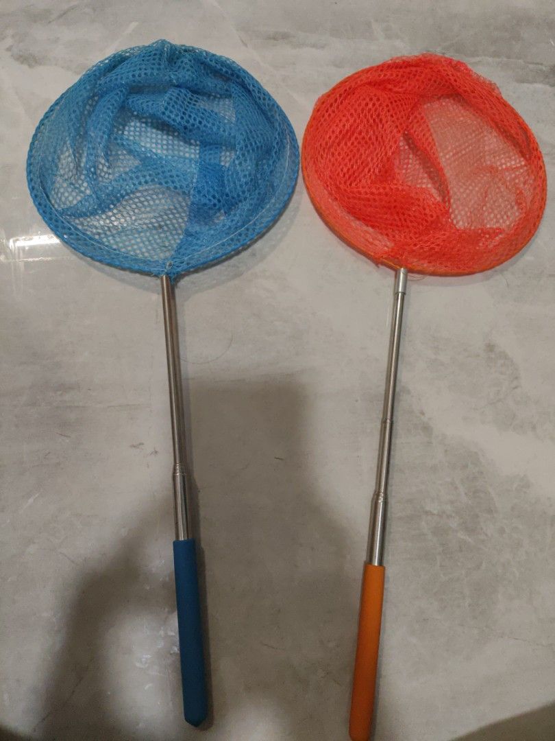 Insect/butterfly net catcher, Hobbies & Toys, Toys & Games on Carousell