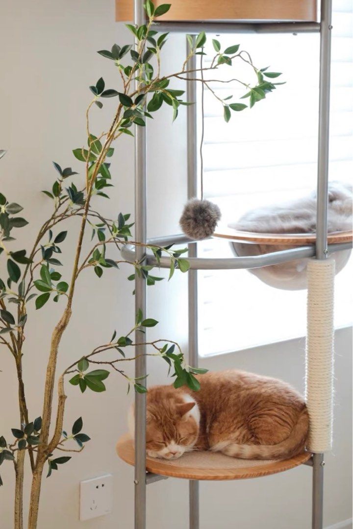 Minimalist Cat Condo Modern Cat Tower Tall, Pet Supplies, Homes & Other ...