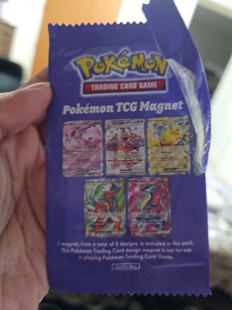 Paradox Rift Magnet (Charizard EX), Hobbies & Toys, Toys & Games on ...