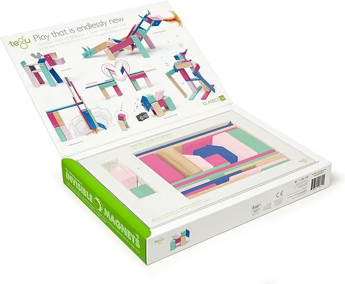 24 Piece Tegu Magnetic Wooden Block Set, Blossom, Hobbies & Toys, Toys ...