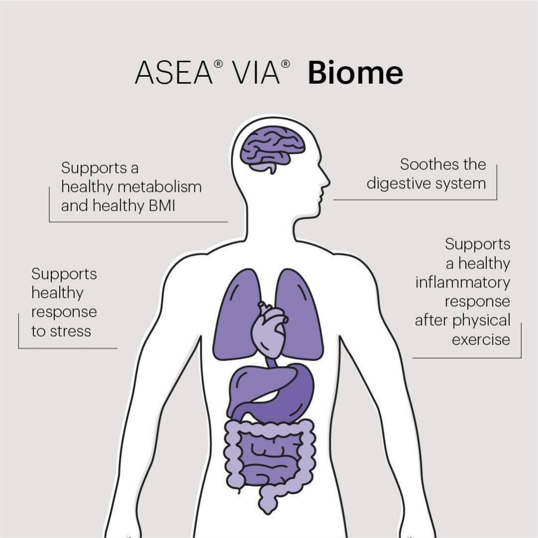 ASEA VIA BIOME, Health & Nutrition, Health Supplements, Vitamins ...