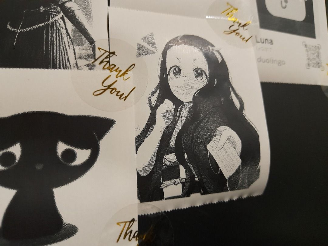 Bluetooth Printer *PAPERANG P1*, Computers & Tech, Printers, Scanners ...