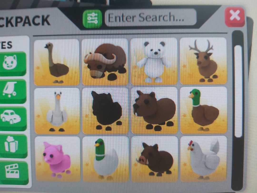 Cheap old adopt me pets, Video Gaming, Gaming Accessories, In-Game ...