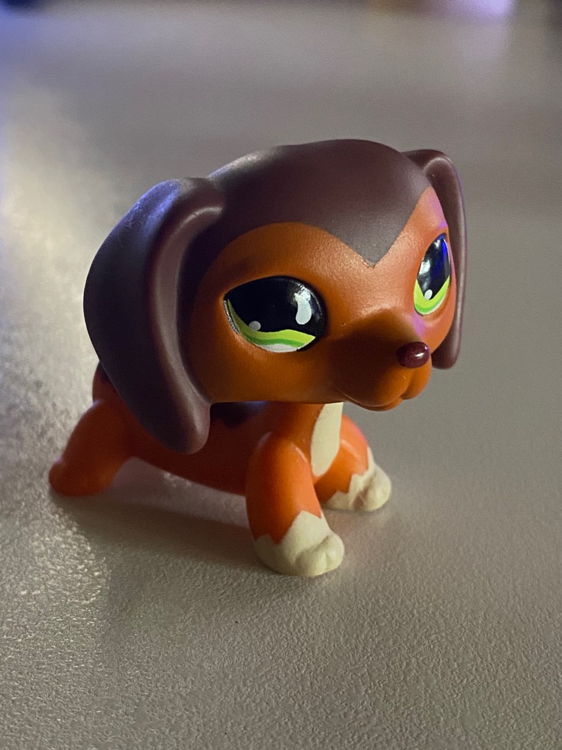 DUPE Littlest Pet Shop LPS Dachshund #675, Hobbies & Toys, Toys & Games ...