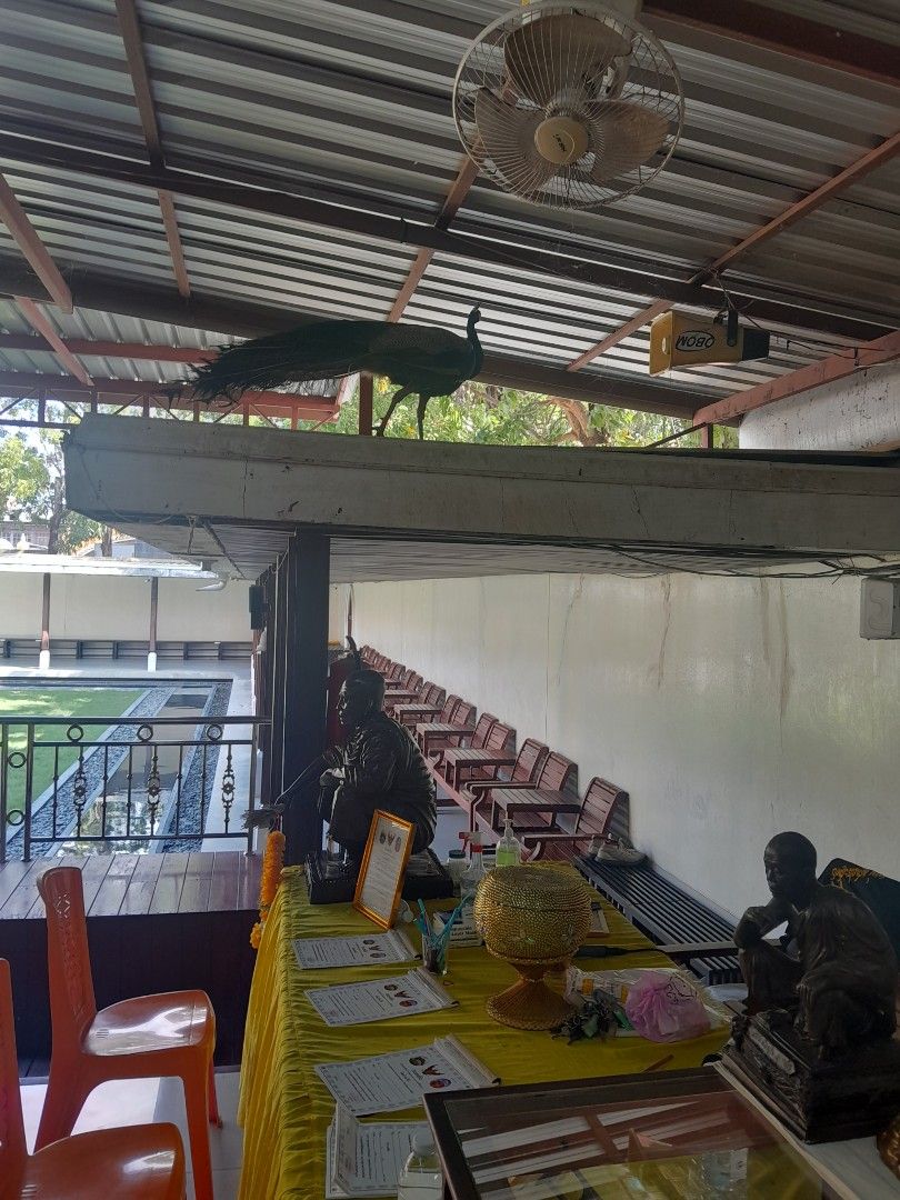 Luang Phor Koon 2 in 1 Sticker/Decal, Hobbies & Toys, Memorabilia ...