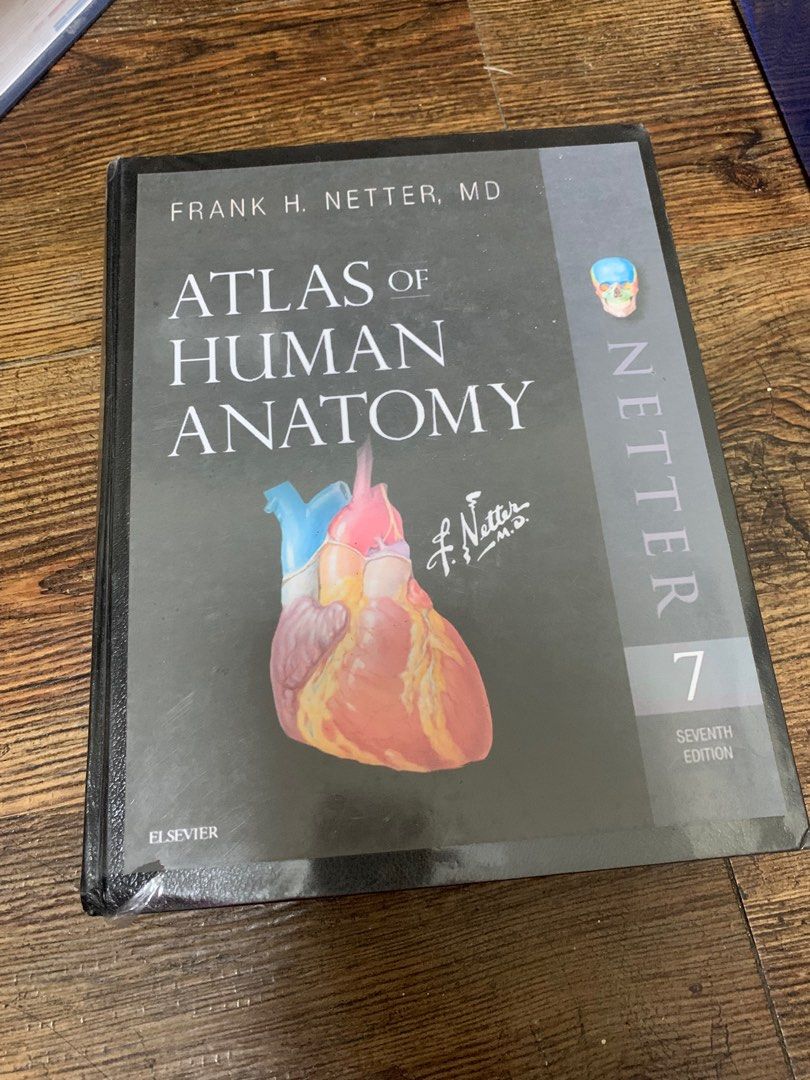 Netter Atlas or Human Anatomy (7th Edition), Hobbies & Toys, Books ...