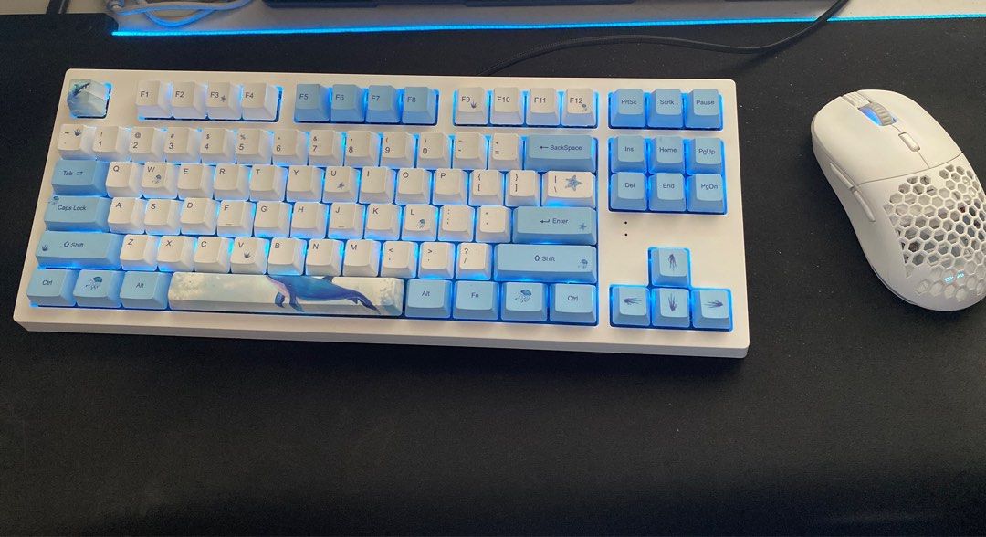 Tecware Phantom TKL Custom, Computers & Tech, Parts & Accessories ...