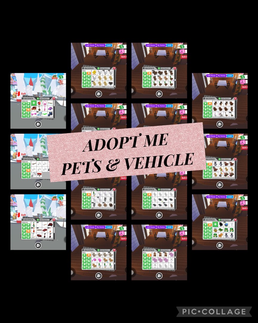 ADOPT ME PETS/VEHICLES, Video Gaming, Video Games, Others on Carousell