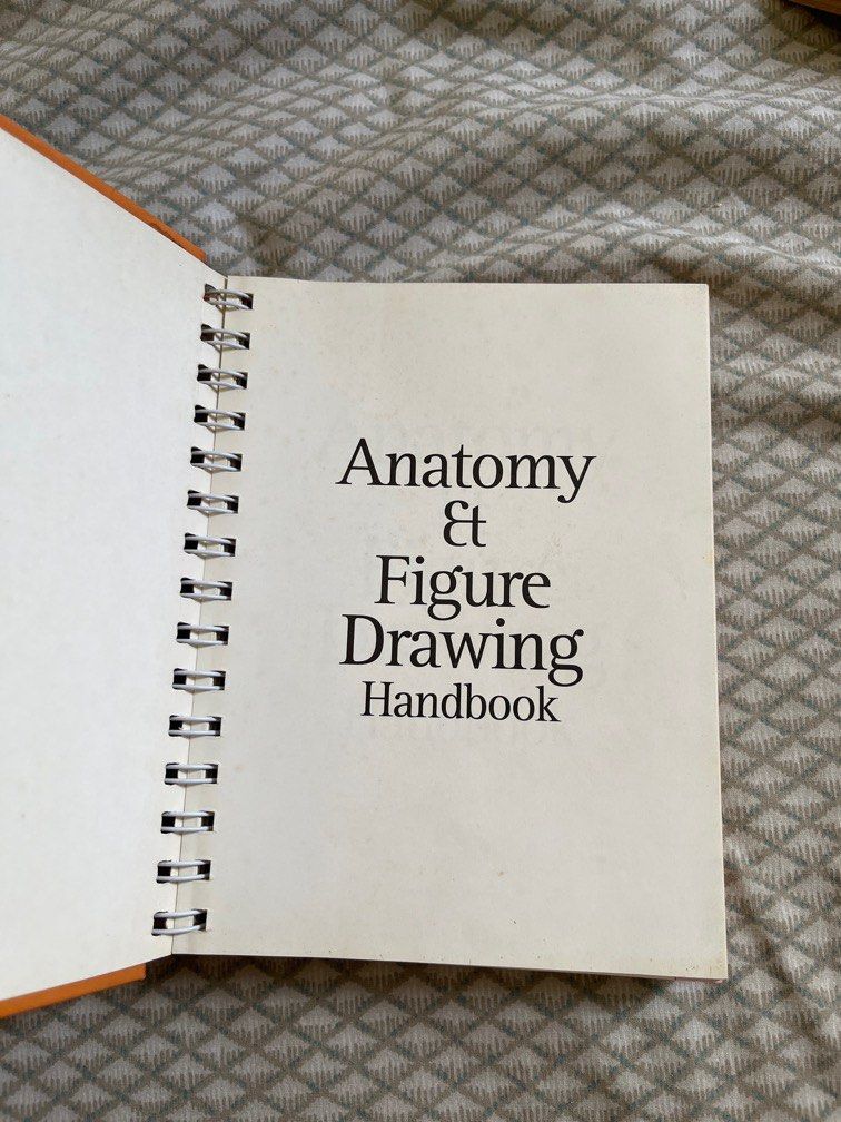 Anatomy & Figure Drawing Handbook edited by Viv Foster, Hobbies & Toys ...