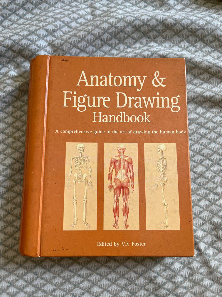 Anatomy & Figure Drawing Handbook edited by Viv Foster, Hobbies & Toys ...