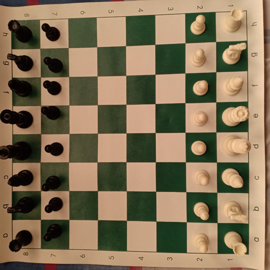 Foldable Chess Set 20 Inches, Hobbies & Toys, Toys & Games on Carousell