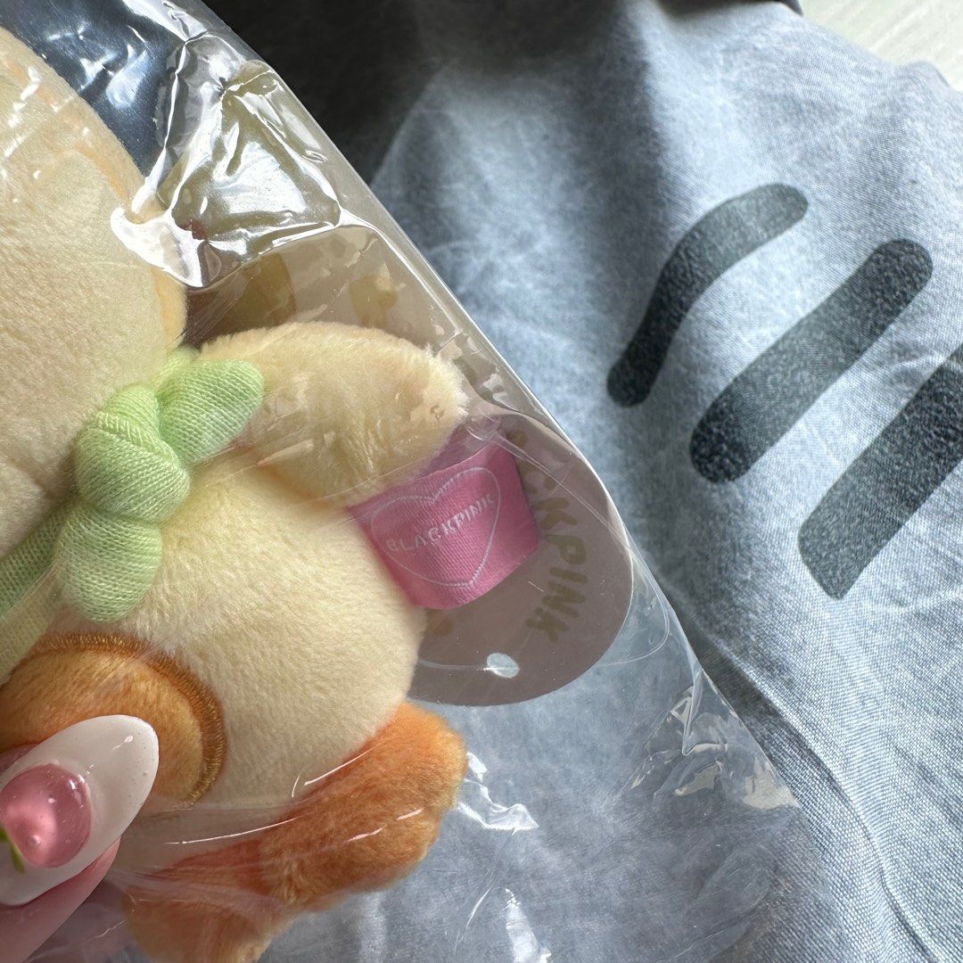 (instock) BLACKPINK Seoul Concert Ppeu Mini Character Keyring, Hobbies ...