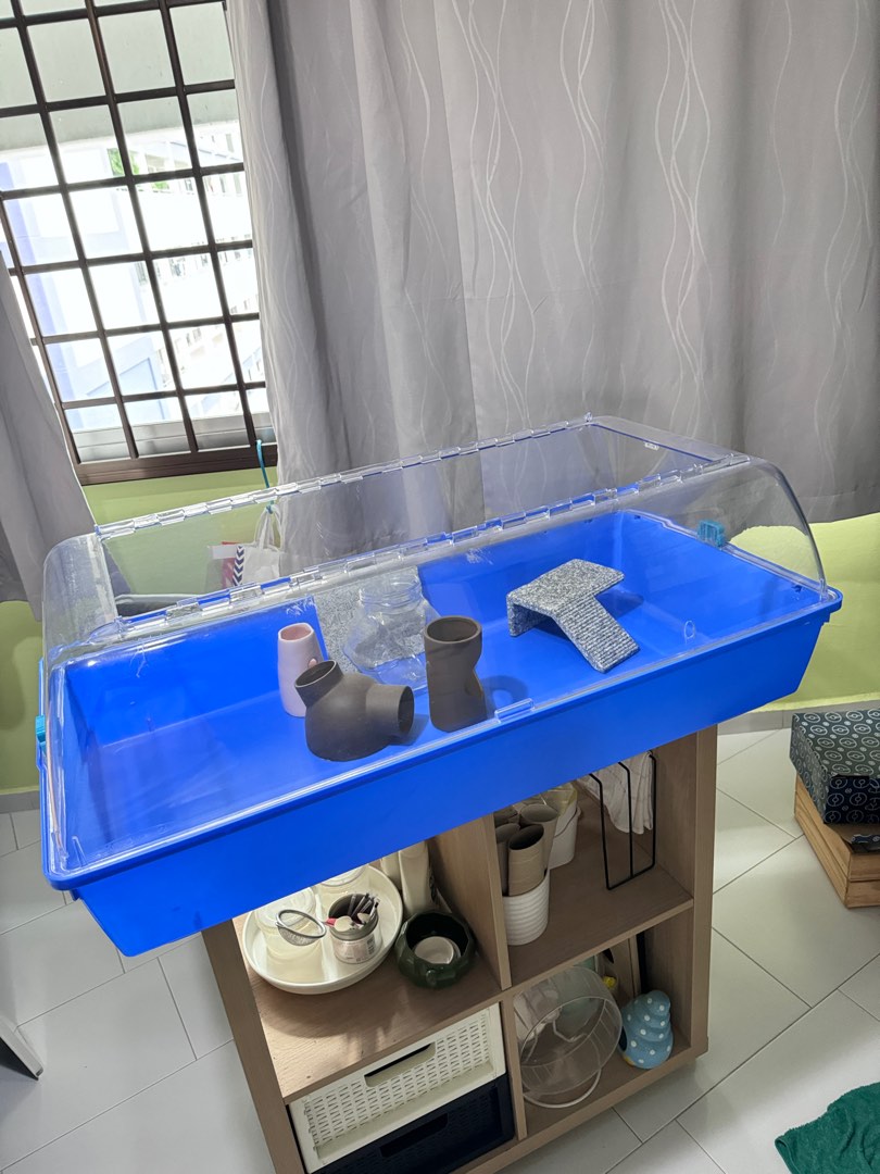 Habitrail Zoozone 2, Pet Supplies, Homes & Other Pet Accessories on Carousell