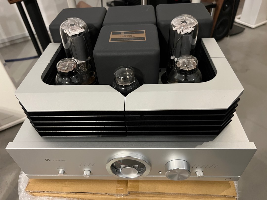 Muzishare R100 805 300B SET Integrated Tube Amp, Audio, Soundbars ...