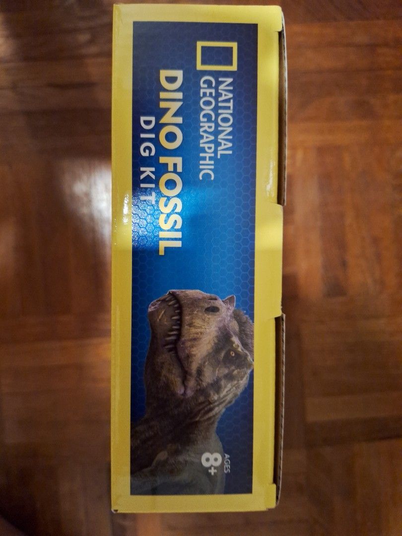 National Geographic Dinosaur Fossil Dig Kit, Hobbies & Toys, Toys ...