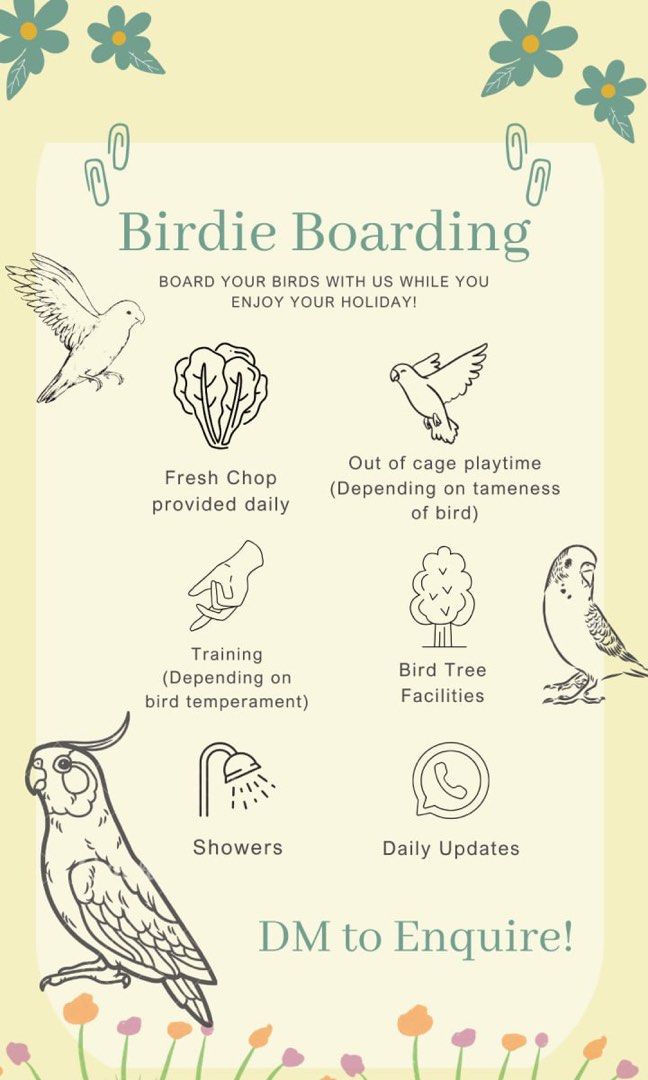 Parrot Bird Boarding in the East, Lifestyle Services, Pet Care Services ...