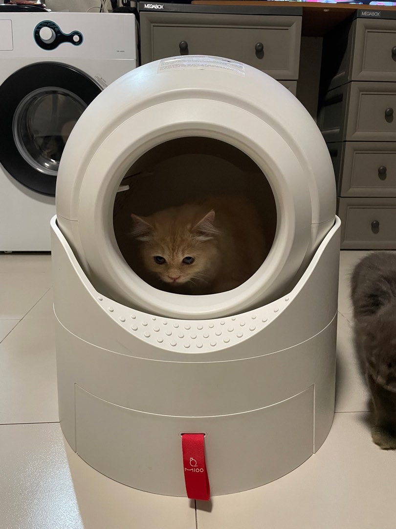 Semi automatic cat litter box, Pet Supplies, Homes & Other Pet ...