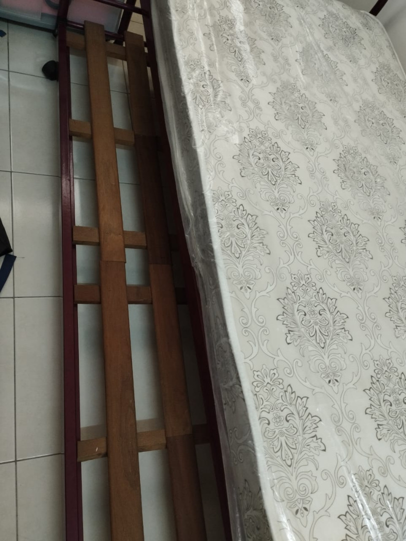 Single/Double Bed Frame with Mattress, Furniture & Home Living ...
