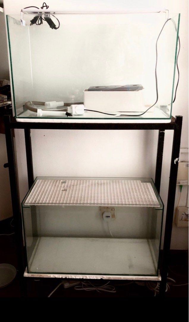 2ft Fish tank with Rack and light (full set), Pet Supplies, Homes ...