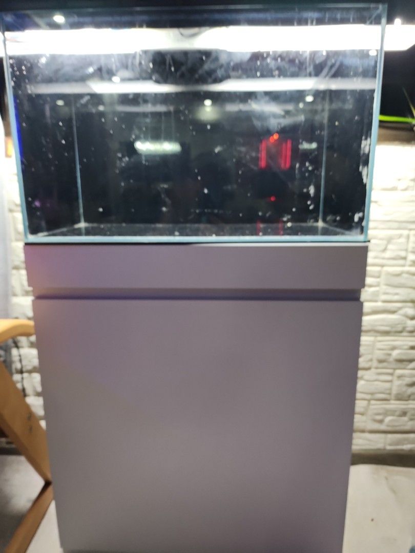2ft tank with cabinet, Pet Supplies, Homes & Other Pet Accessories on ...