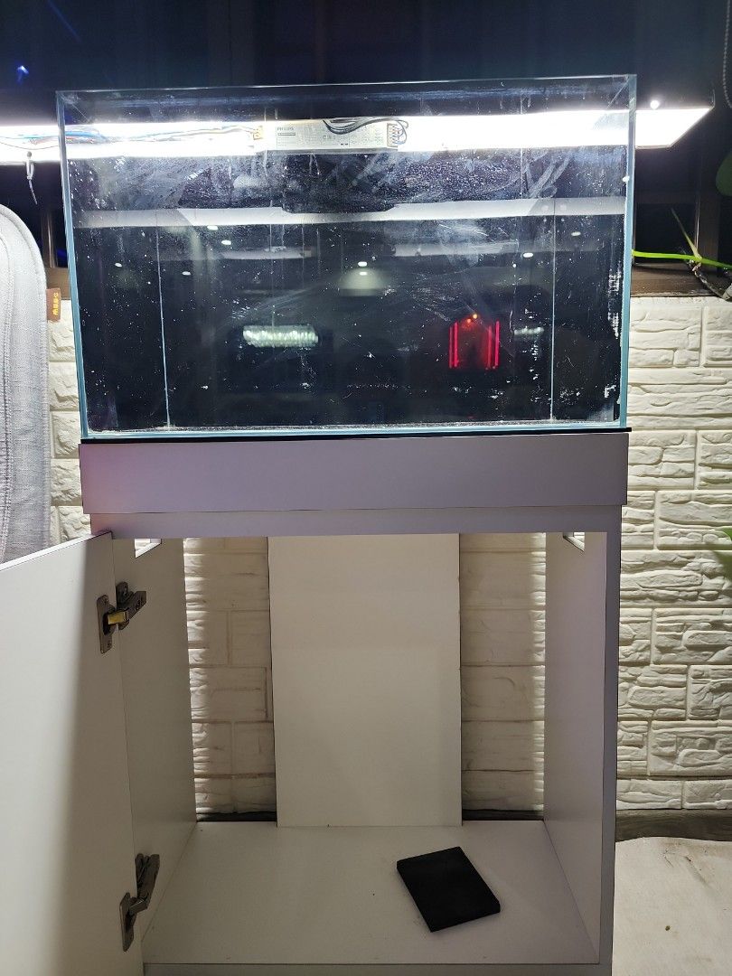 2ft tank with cabinet, Pet Supplies, Homes & Other Pet Accessories on ...