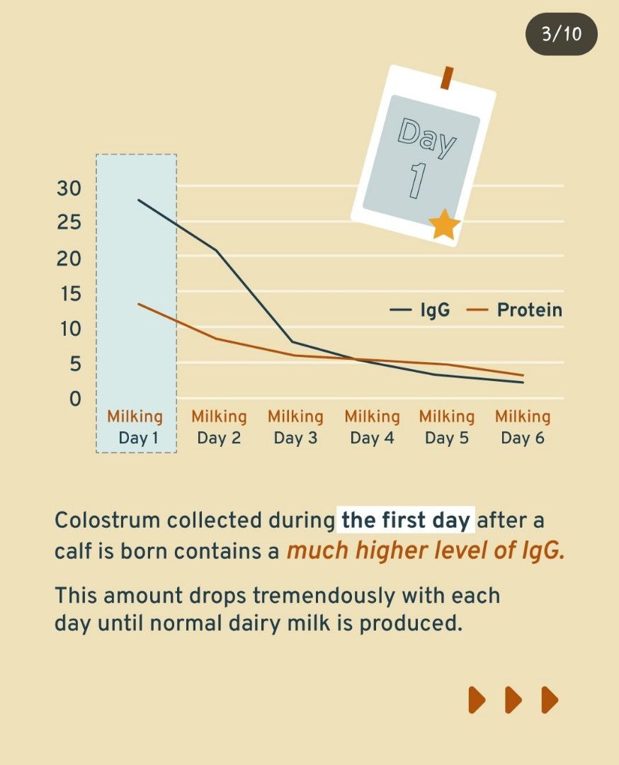 Avance Immugain, Health & Nutrition, Health Supplements, Vitamins ...