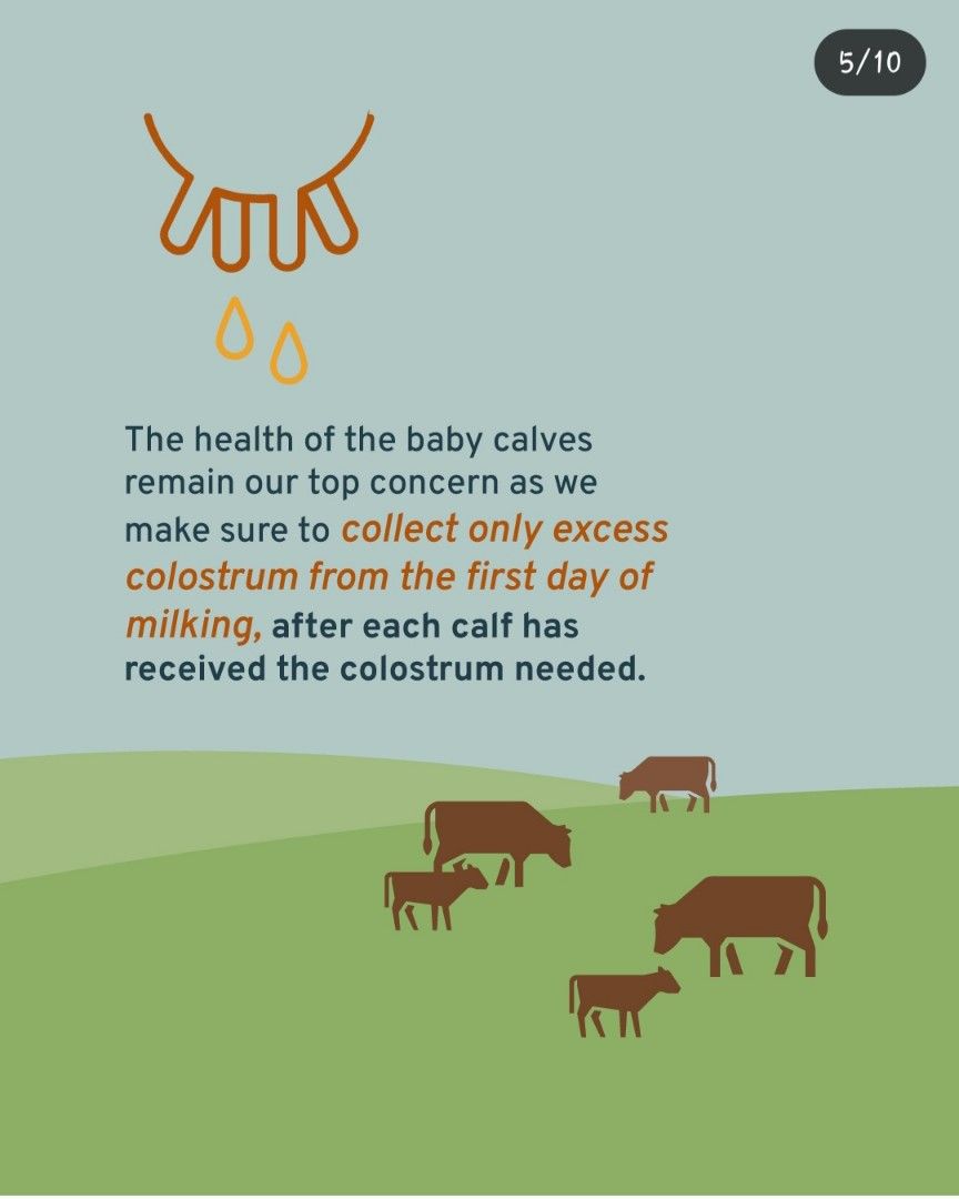 Avance Immugain, Health & Nutrition, Health Supplements, Vitamins ...