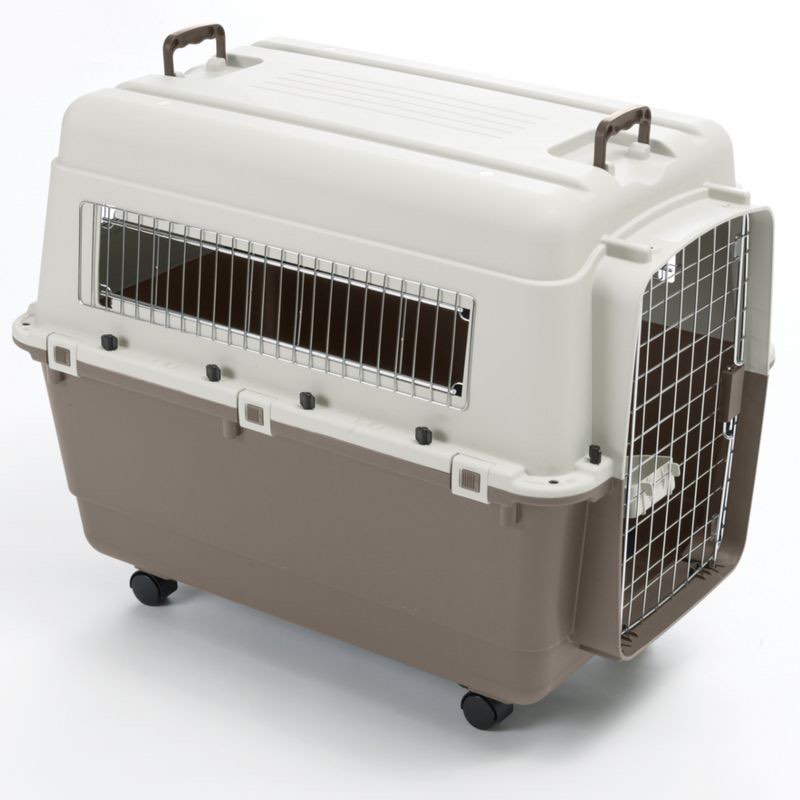 Dog crate carrier IATA approved, Pet Supplies, Homes & Other Pet Accessories on Carousell
