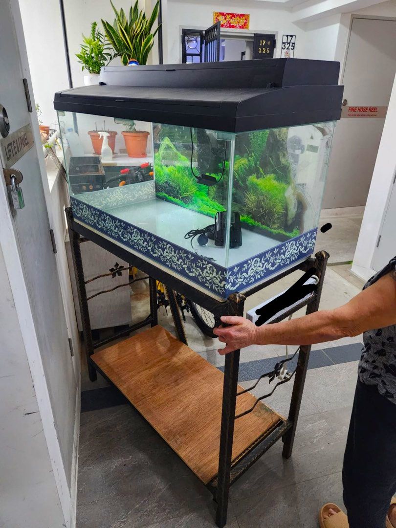 Fish tank stand, Pet Supplies, Homes & Other Pet Accessories on Carousell