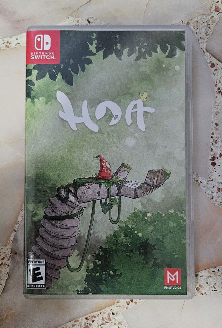 Hoa Nintendo Switch, Video Gaming, Video Games, Nintendo on Carousell