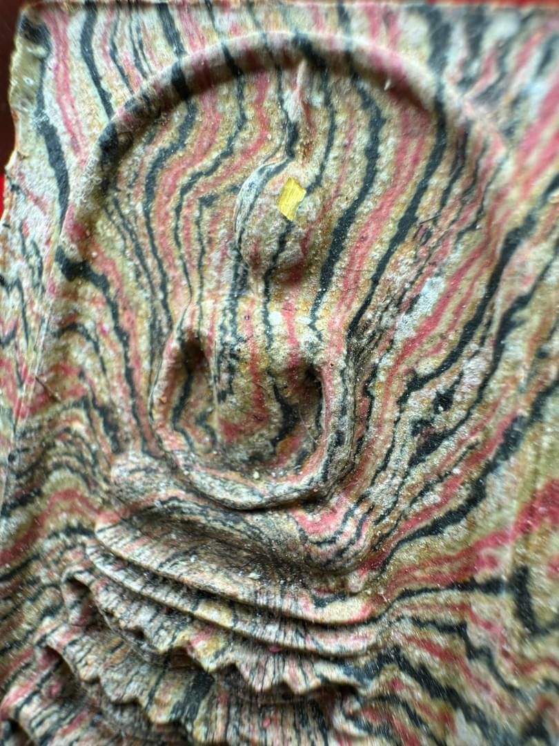 LP Pae Phra Somdej Taising Phim Katoh BE 2515 (Phim Saurung), Hobbies ...