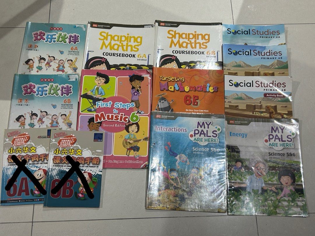 P6 psle 6A 6B chinese textbooks vocabulary handbook shaping maths ...