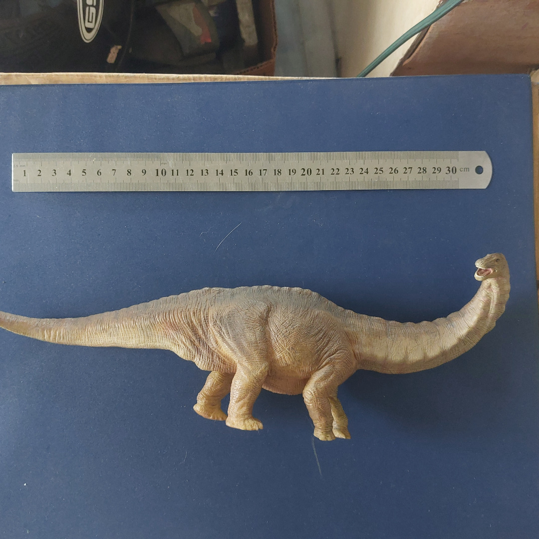 Papo Apatosaurus Dinosaur Model original with markings dino, Hobbies ...