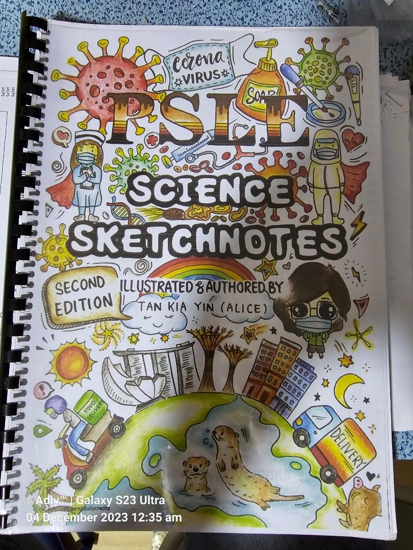 PSLE Science Sketchnotes (2nd Edition 2020), Hobbies & Toys, Books ...
