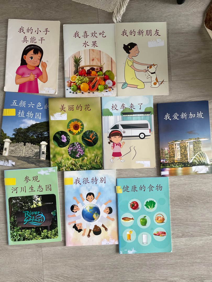 SJCK Chinese Mandarin Books, Hobbies & Toys, Books & Magazines ...