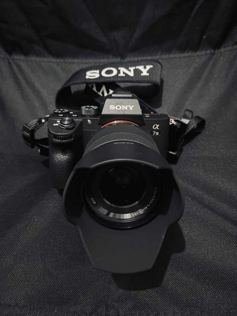 Sony A73, Photography, Cameras on Carousell
