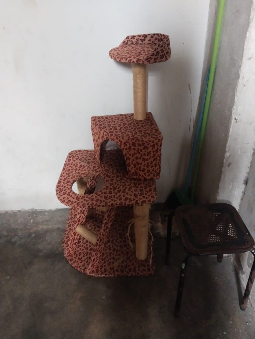 Tempat Kucing, Pet Supplies, Homes & Other Pet Accessories on Carousell