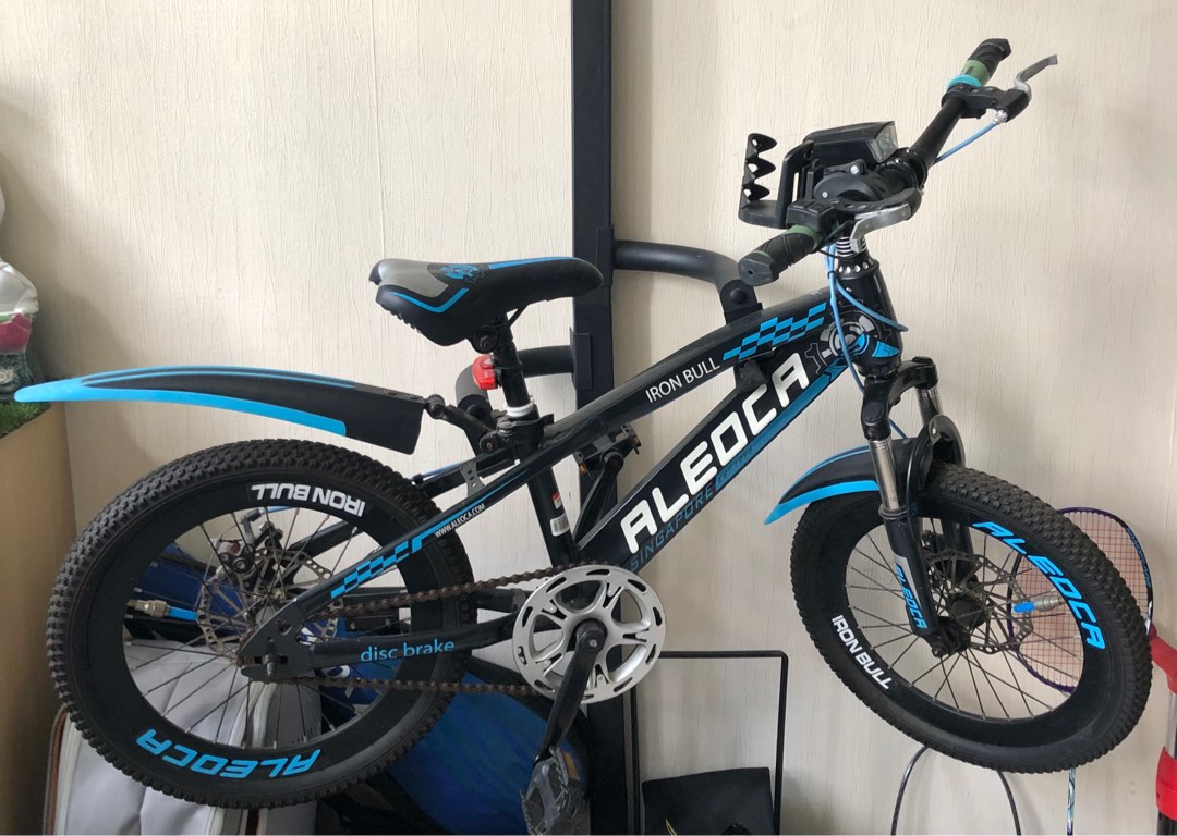 Aleoca IronBull 18” Bicycle, Sports Equipment, Bicycles & Parts ...
