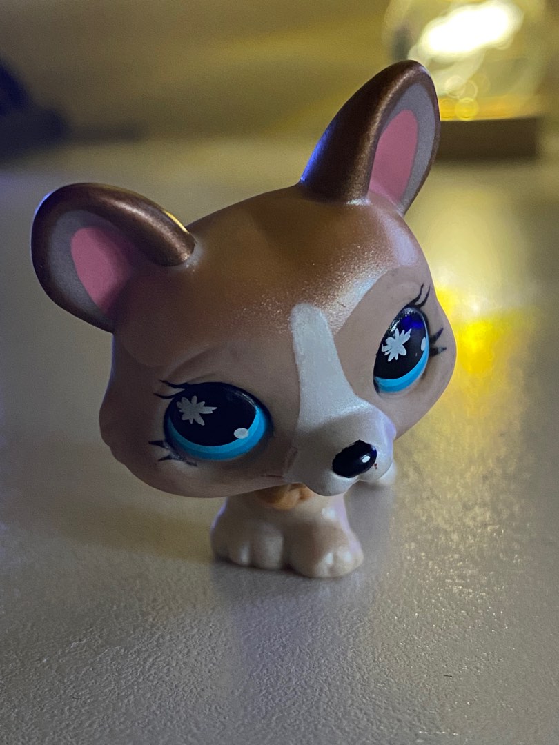 ‼️RUSH‼️Authentic Littlest Pet Shop Pearlized Corgi #871, Hobbies ...