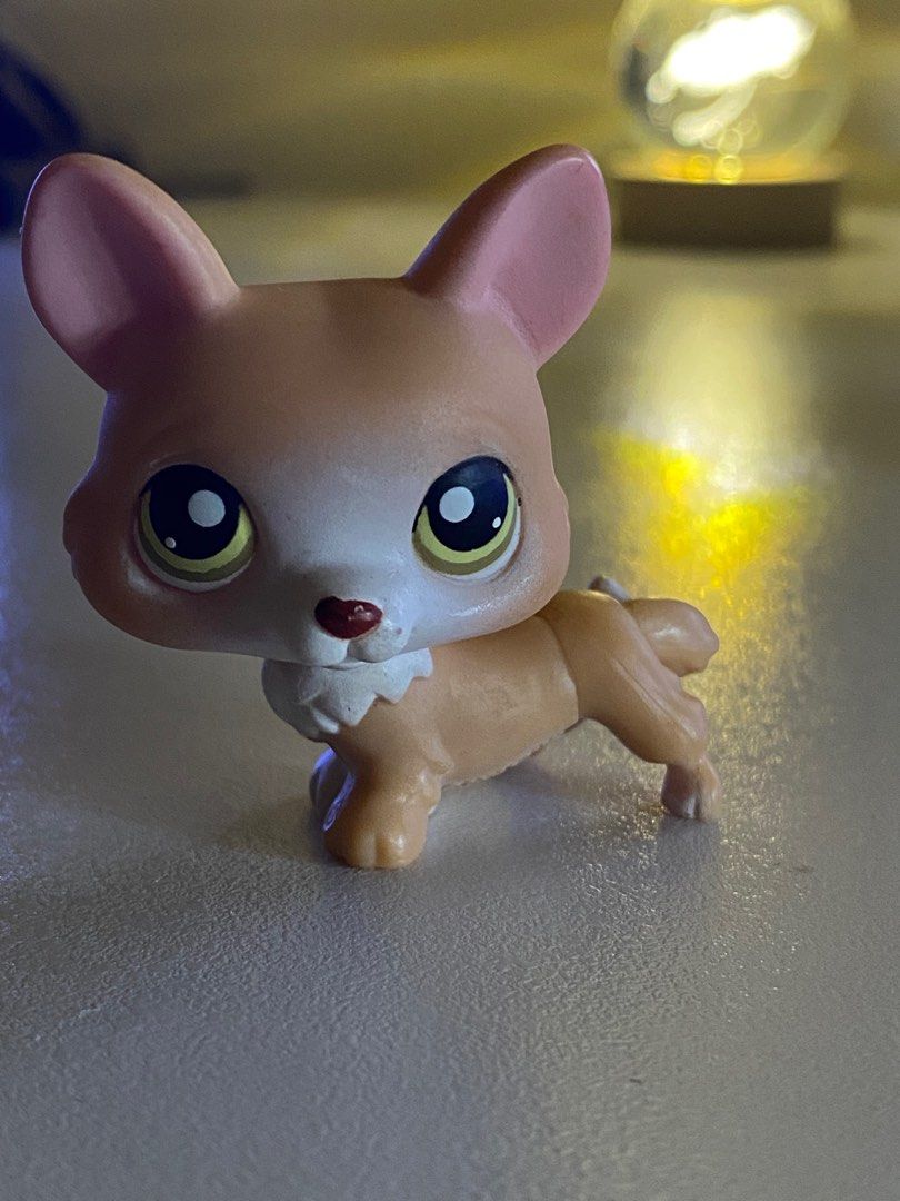 ‼️RUSH‼️Authentic LPS Littlest Pet Shop Corgi #183, Hobbies & Toys ...