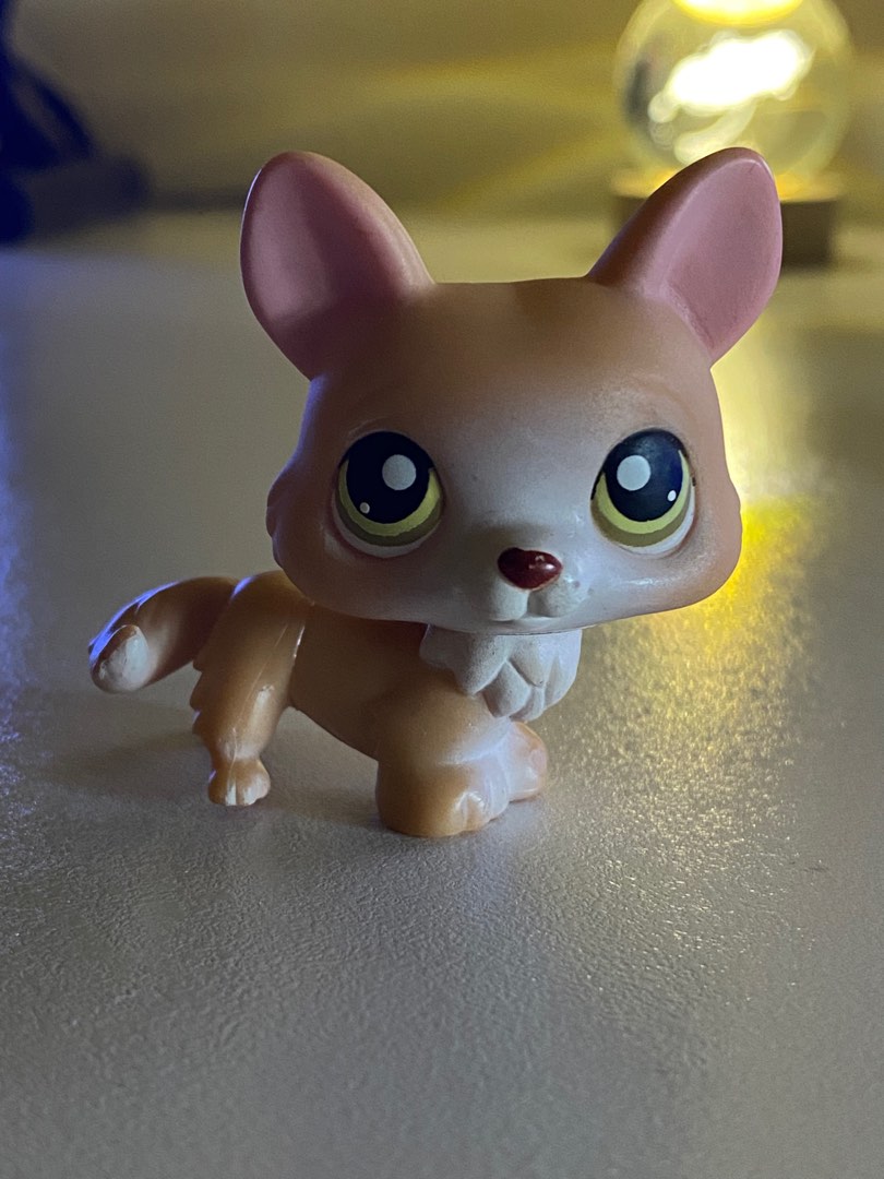 ‼️RUSH‼️Authentic LPS Littlest Pet Shop Corgi #183, Hobbies & Toys ...