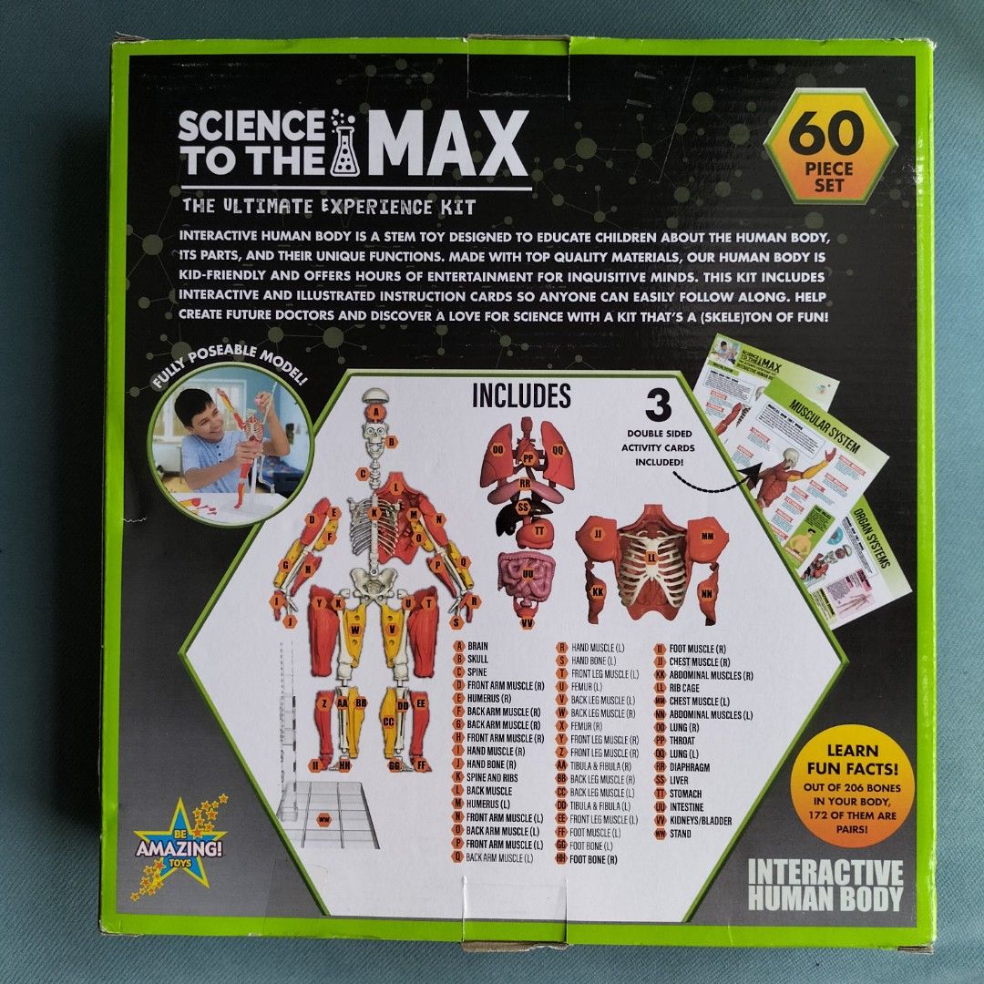 Be Amazing Science to the Max Interactive Human Body 14" tall ...