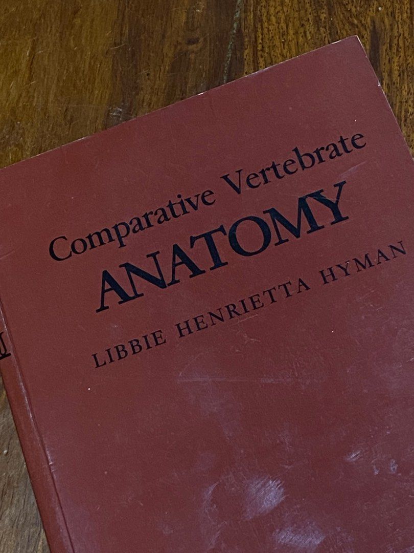 Comparative Anatomy by Hyman, Hobbies & Toys, Books & Magazines ...