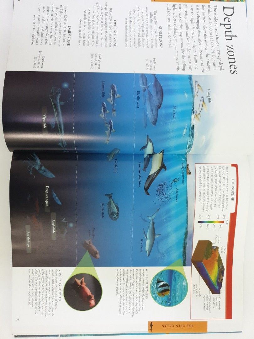 DK Ocean DK Sharks DK Space Encyclopedia, Hobbies & Toys, Books ...