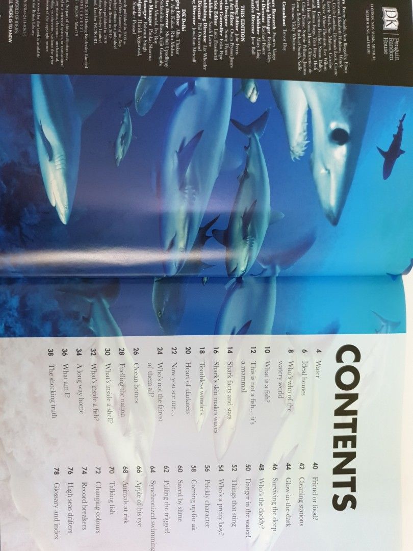 DK Ocean DK Sharks DK Space Encyclopedia, Hobbies & Toys, Books ...