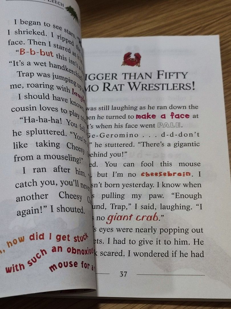 (ENG) Shipwreck On The Pirate Islands, Hobbies & Toys, Books ...