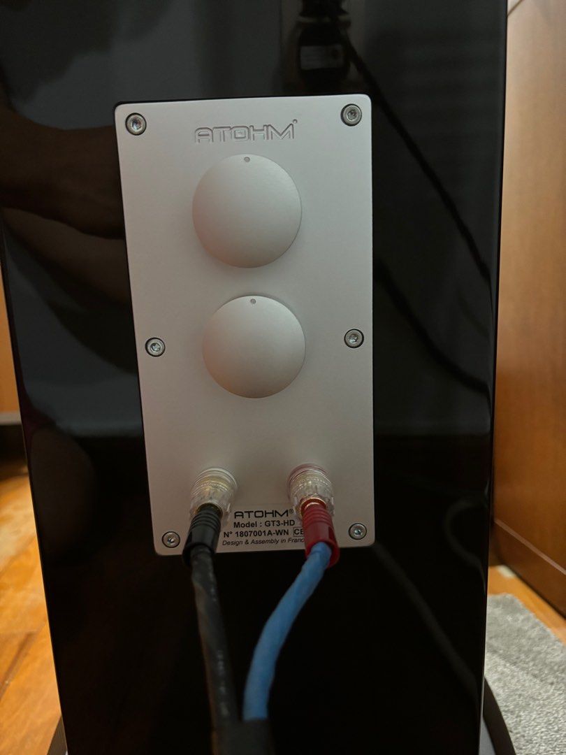 Floorstanders Speakers: Atohm GT3-HD (Made In France), Wengnut piano ...